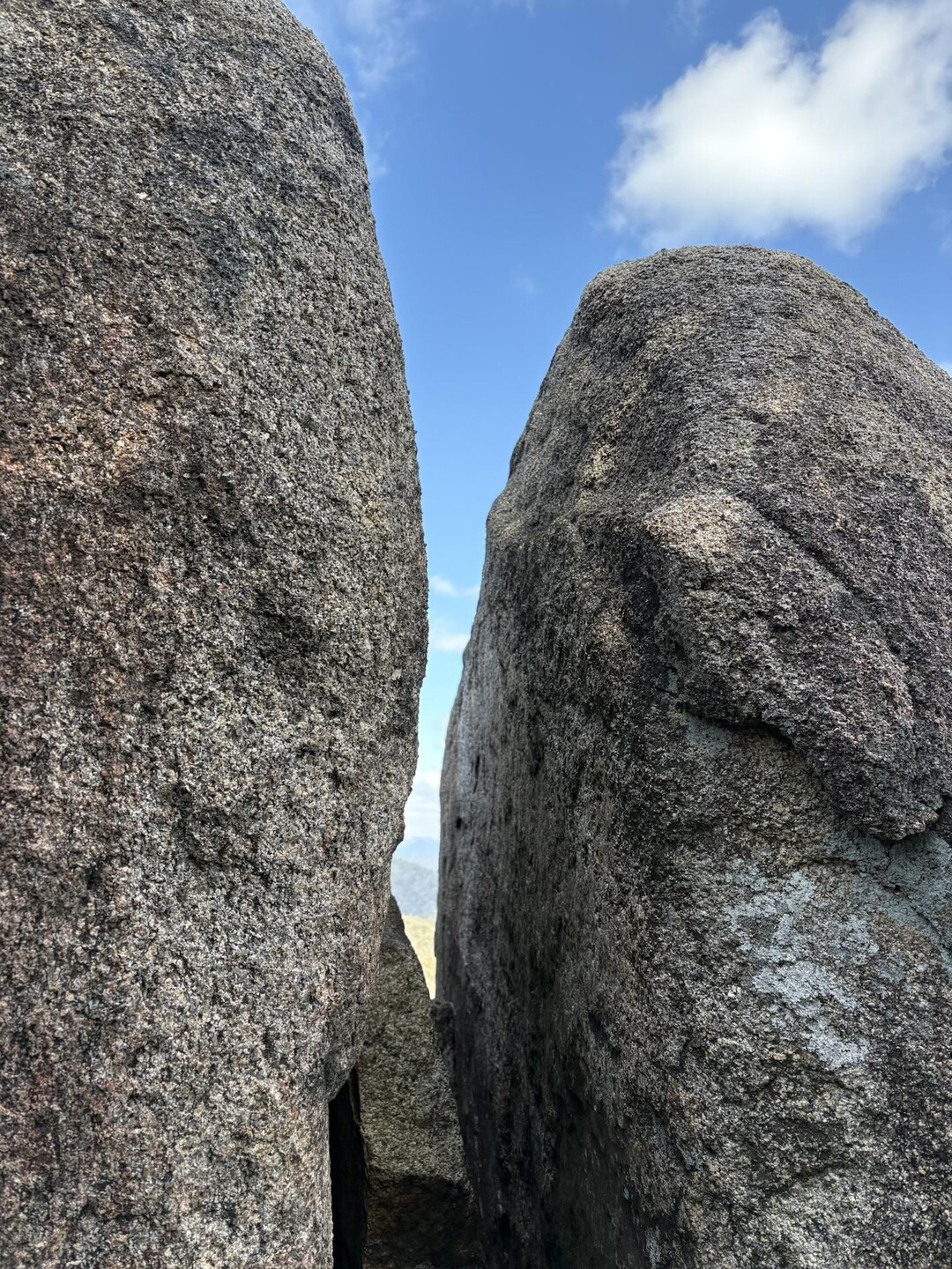 発掘👀 ️大竹の名峰⛰️剣上山 / guchiさんの行者山・傘山・忠四郎山の活動データ | YAMAP / ヤマップ