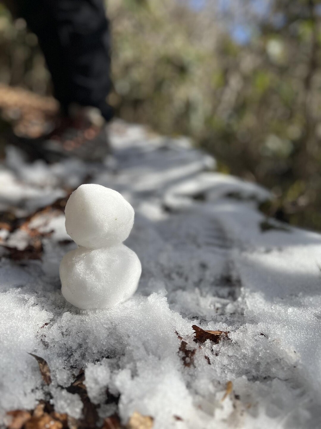 野地峰・黒岩山 / seiさんの東光森山・野地峰・黒岩山の活動データ | YAMAP / ヤマップ
