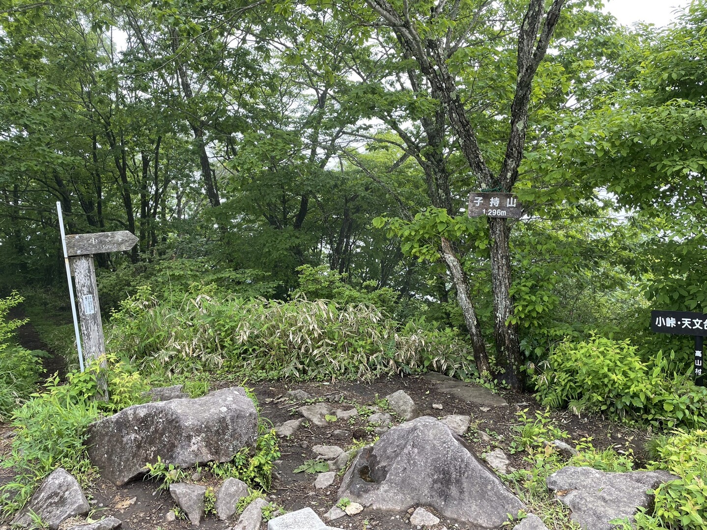 子持山 2022.6.9 PS250 / ota660さんの子持山の活動データ | YAMAP / ヤマップ