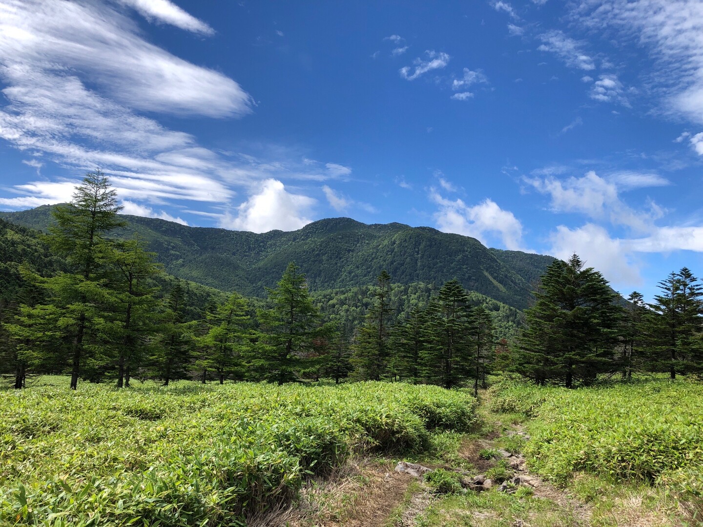 めこさんの投稿したフィールドメモ | YAMAP / ヤマップ