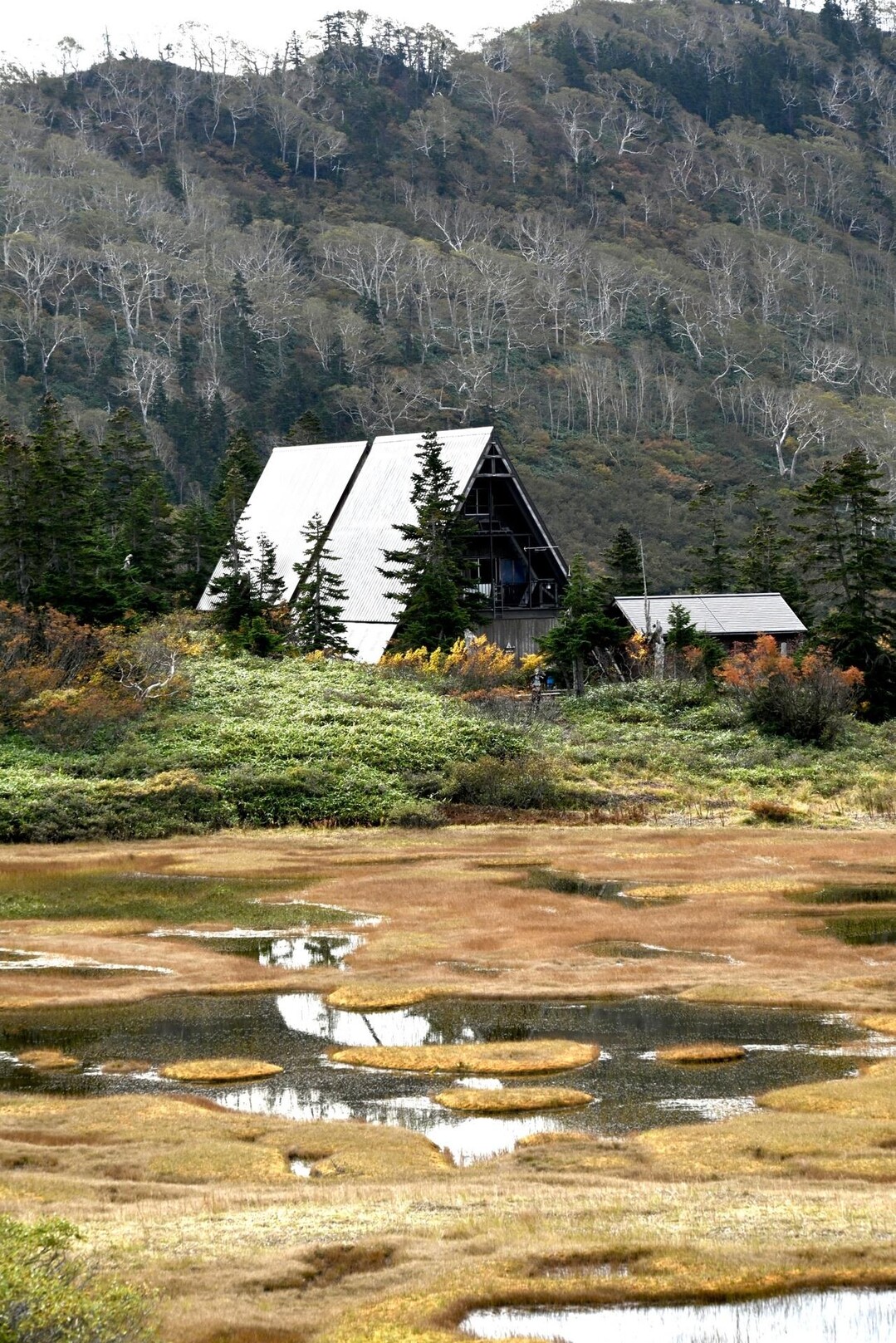 火打山・妙高山 / MJさんの妙高山・火打山の活動データ | YAMAP / ヤマップ