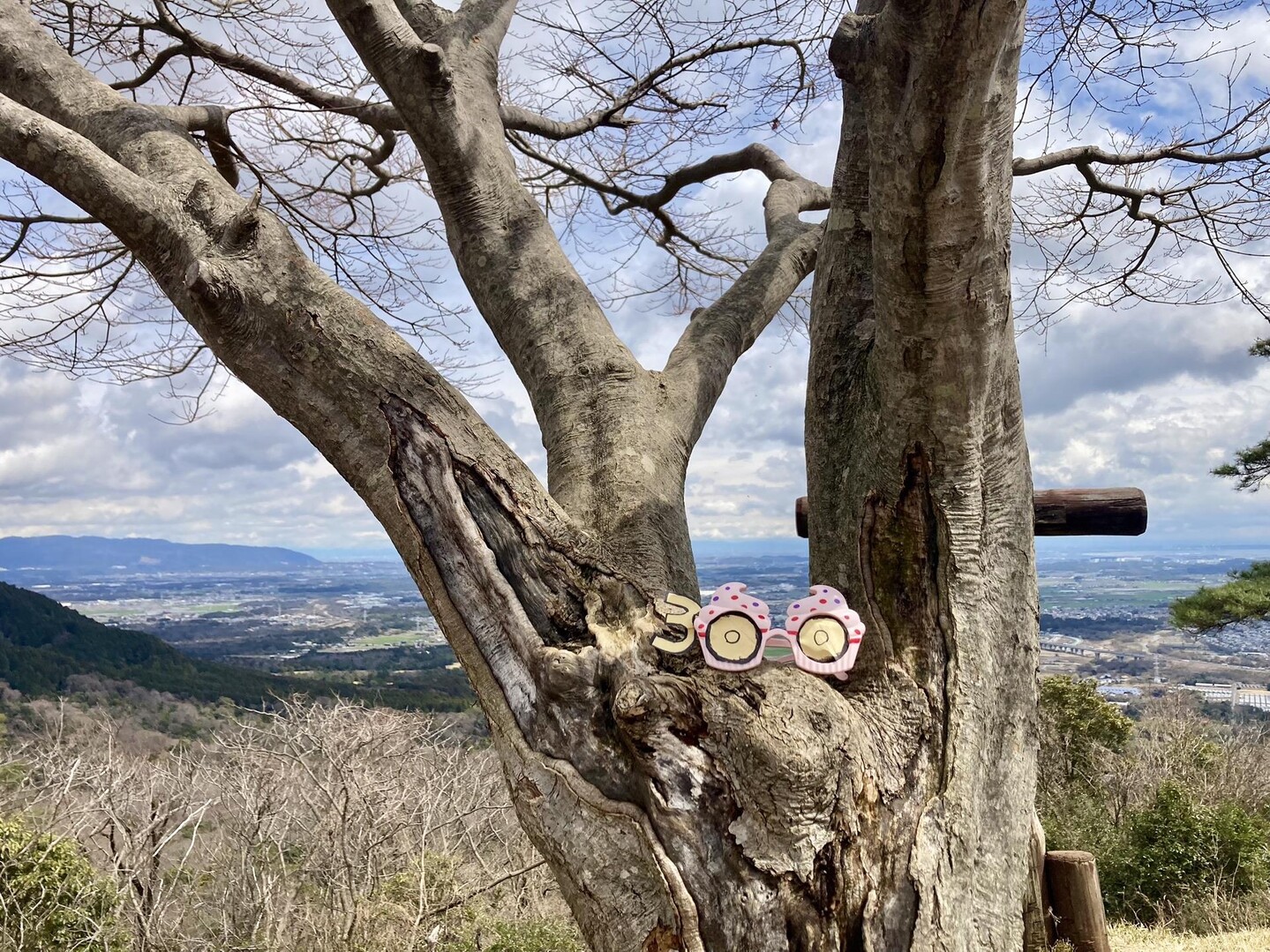 300座は菰野富士🗻ネコ・笠岳・ミツマタ🟡 / panさんの御在所岳（御在所山）・雨乞岳の活動データ | YAMAP / ヤマップ