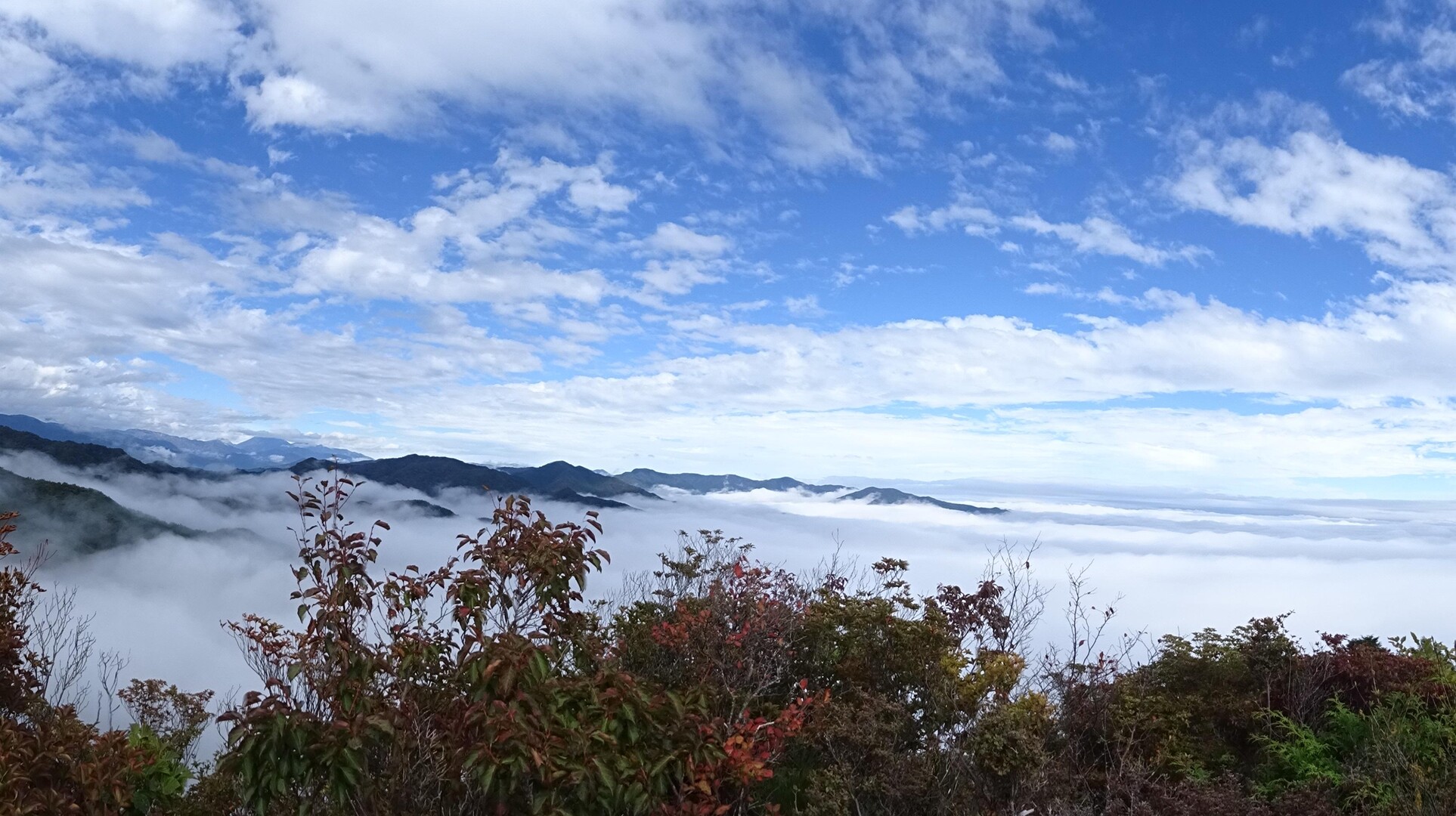 鳴神山（桐生岳） / nm25さんの鳴神山・吾妻山の活動データ | YAMAP / ヤマップ