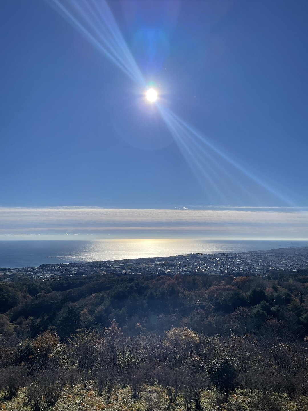 晩秋🍂の常陸国🥾③助川山 / SAKIさんの日立アルプストレイル・神峰山（神峯山）の活動データ | YAMAP / ヤマップ