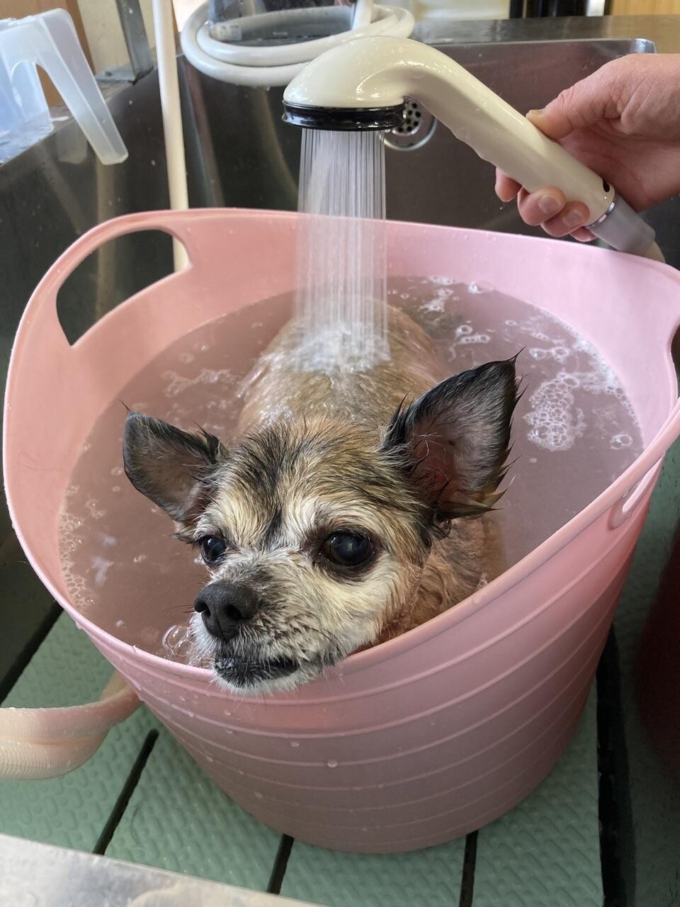 chizuのページ | YAMAP / ヤマップ