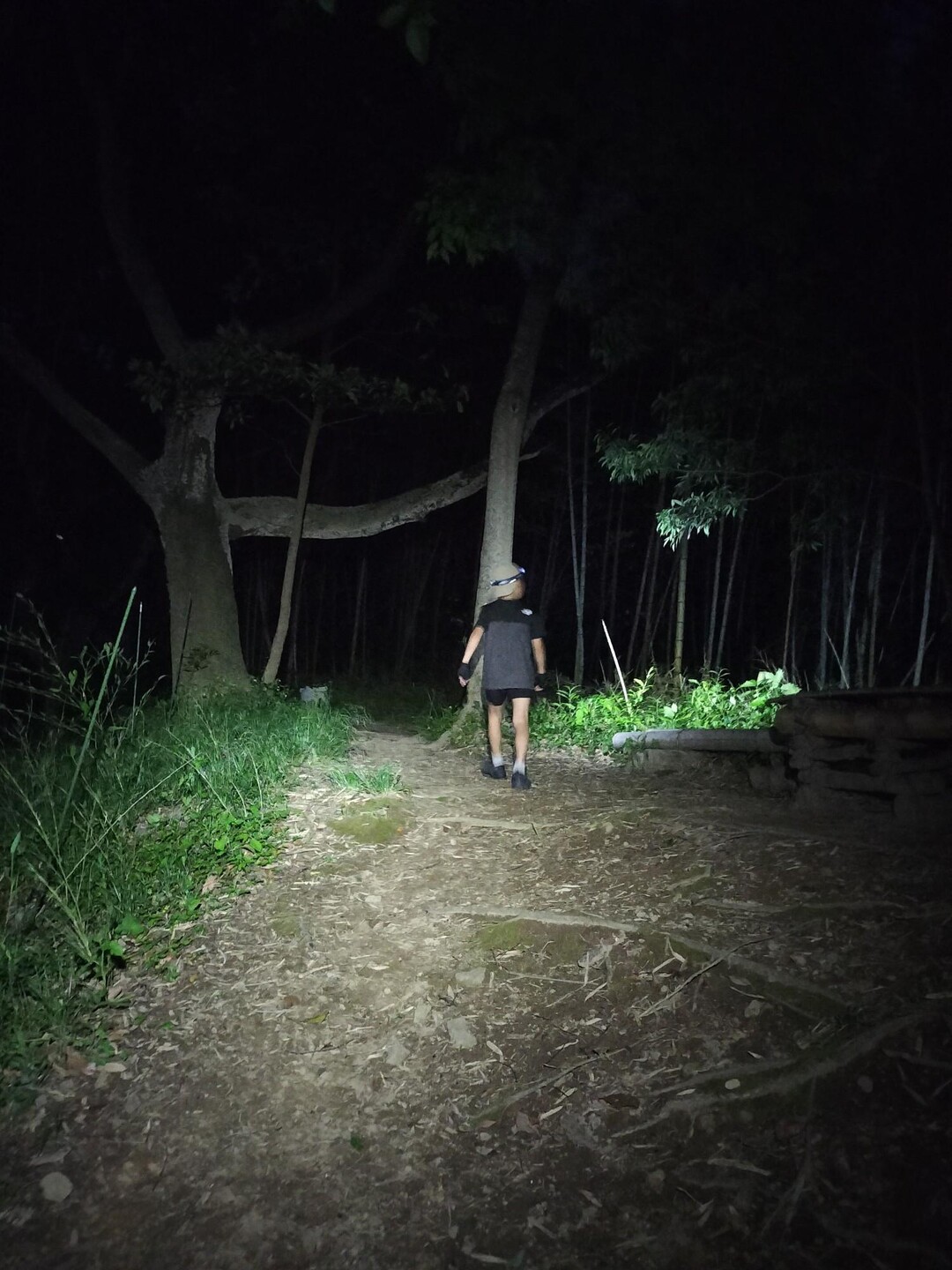 賤機山往復ナイトトレイルラン / Toshiaki Eguroさんの賤機山の活動データ | YAMAP / ヤマップ