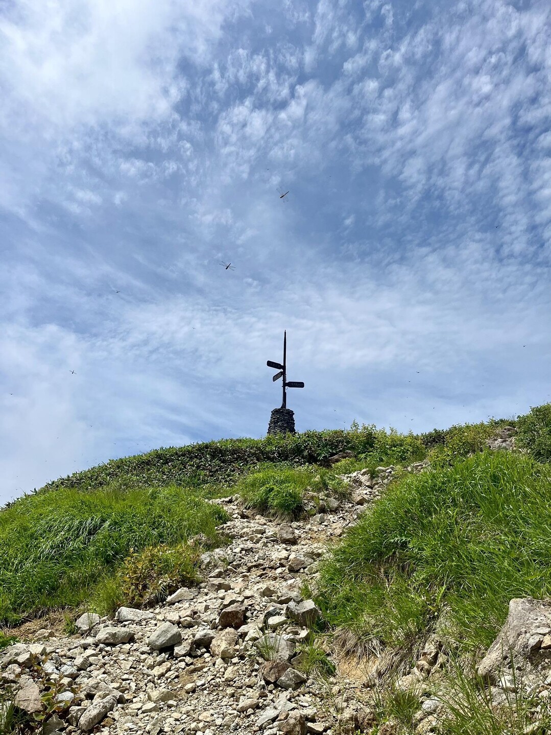 谷川岳（西黒尾根〜天神尾根ルート) / k1さんの谷川岳・七ツ小屋山・大源太山の活動データ | YAMAP / ヤマップ