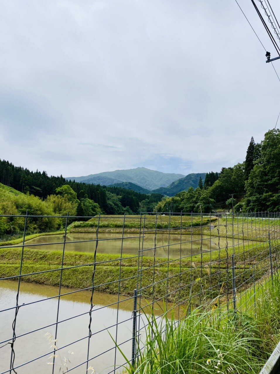 本日の祖母山・☁️ ・午後からは少しパラ... / 祖母山麓ノ民宿清流さんのモーメント | YAMAP / ヤマップ