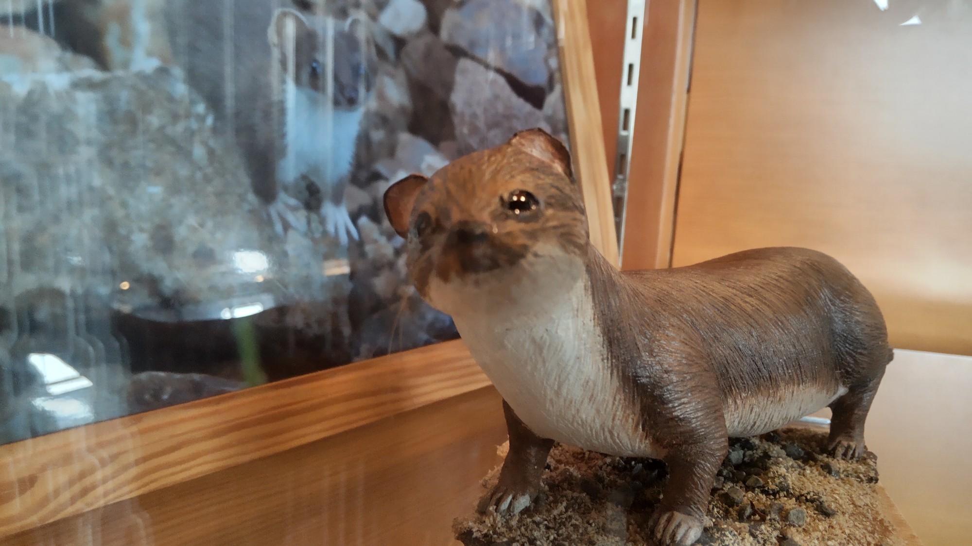 99 白山 https://tabibt... / てんぐのこさんのモーメント | YAMAP / ヤマップ