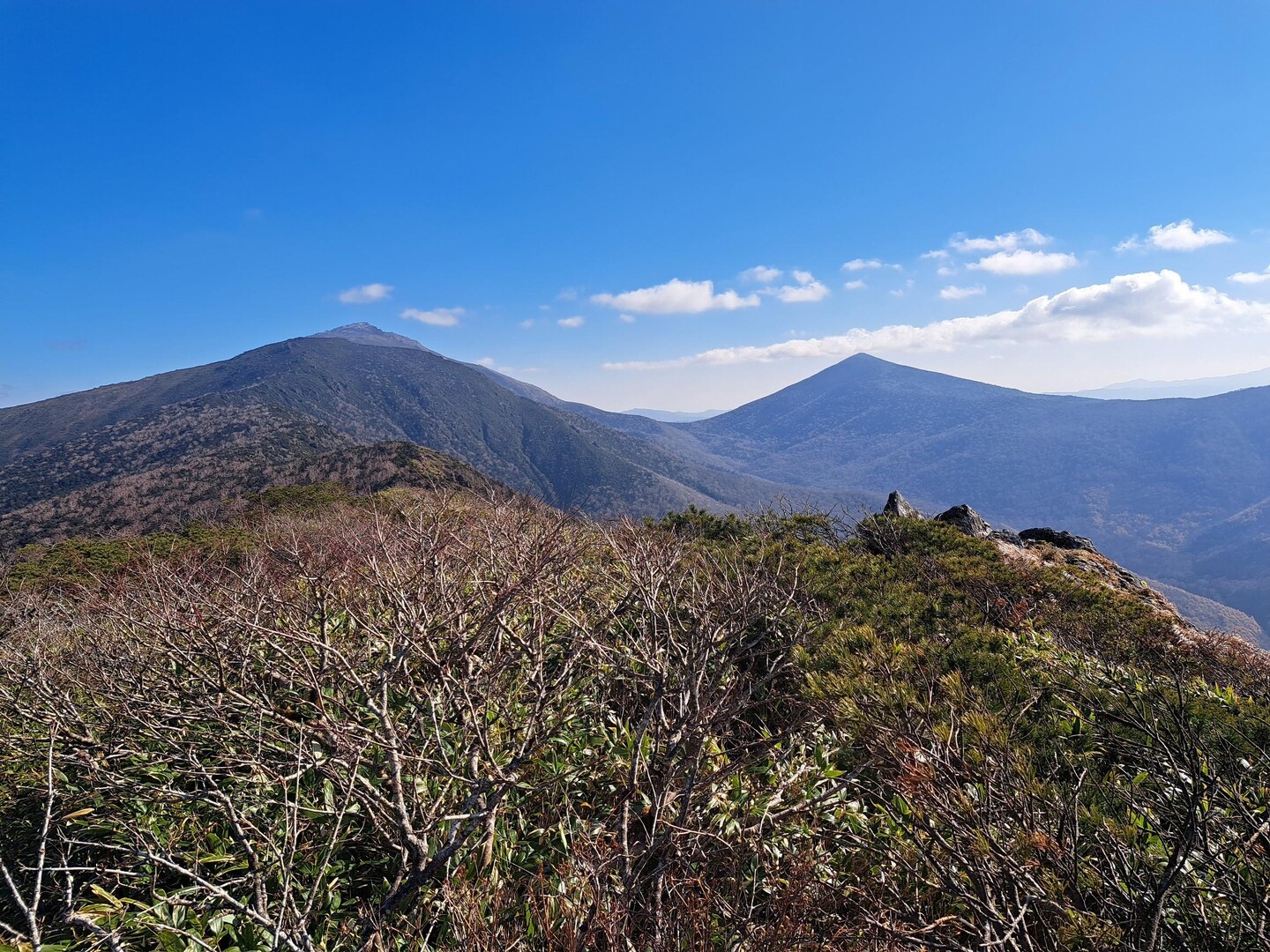 鶏頭山 / Ku-minさんの早池峰山・薬師岳・鶏頭山の活動データ | YAMAP / ヤマップ