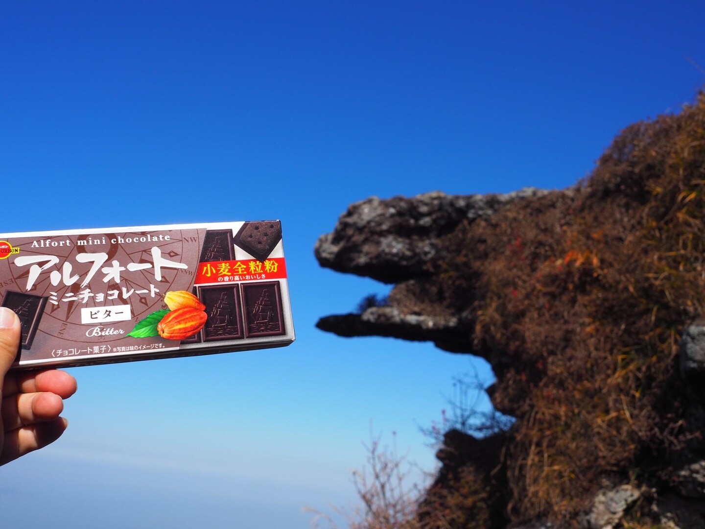 紅葉の普賢岳の前編です🍁↓ http... / トミー⭐️さんのモーメント | YAMAP / ヤマップ