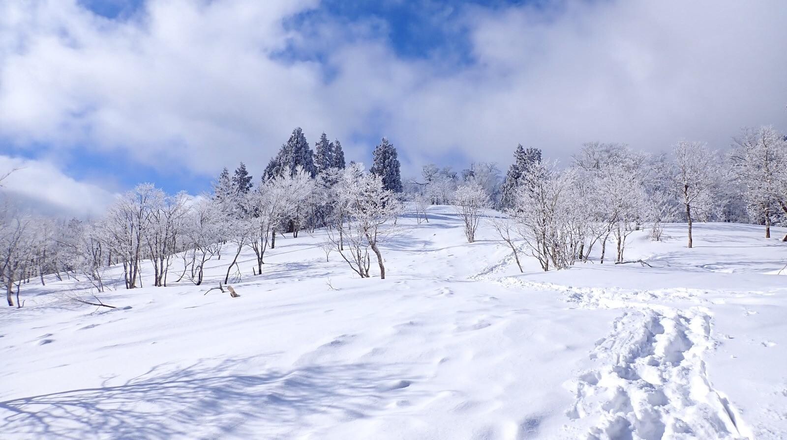 恐羅漢山・旧羅漢山 / chiiccaさんの恐羅漢山の活動データ | YAMAP / ヤマップ