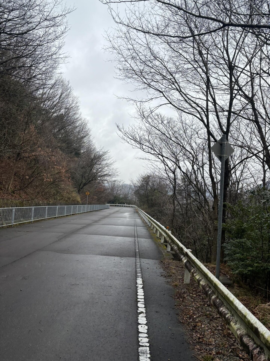 6月に美方残酷マラソンに出る予定で坂道ラ... / nori0125さんのモーメント | YAMAP / ヤマップ