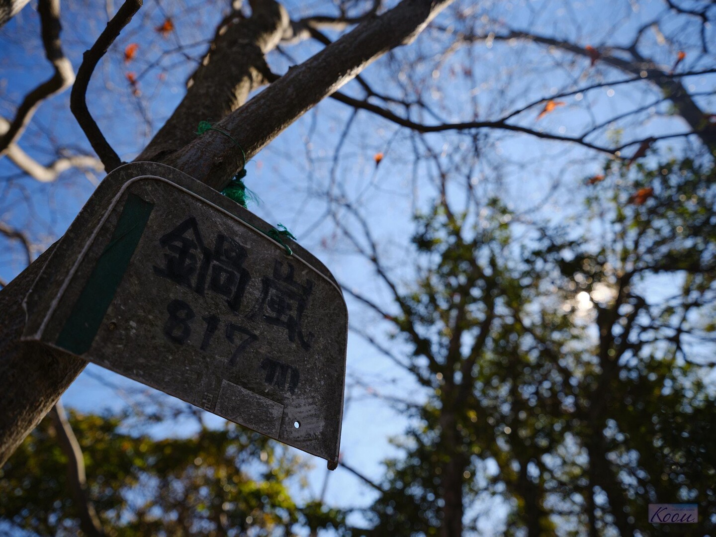 バリルートでいく鍋嵐 / Koou.さんの大山の活動データ | YAMAP / ヤマップ