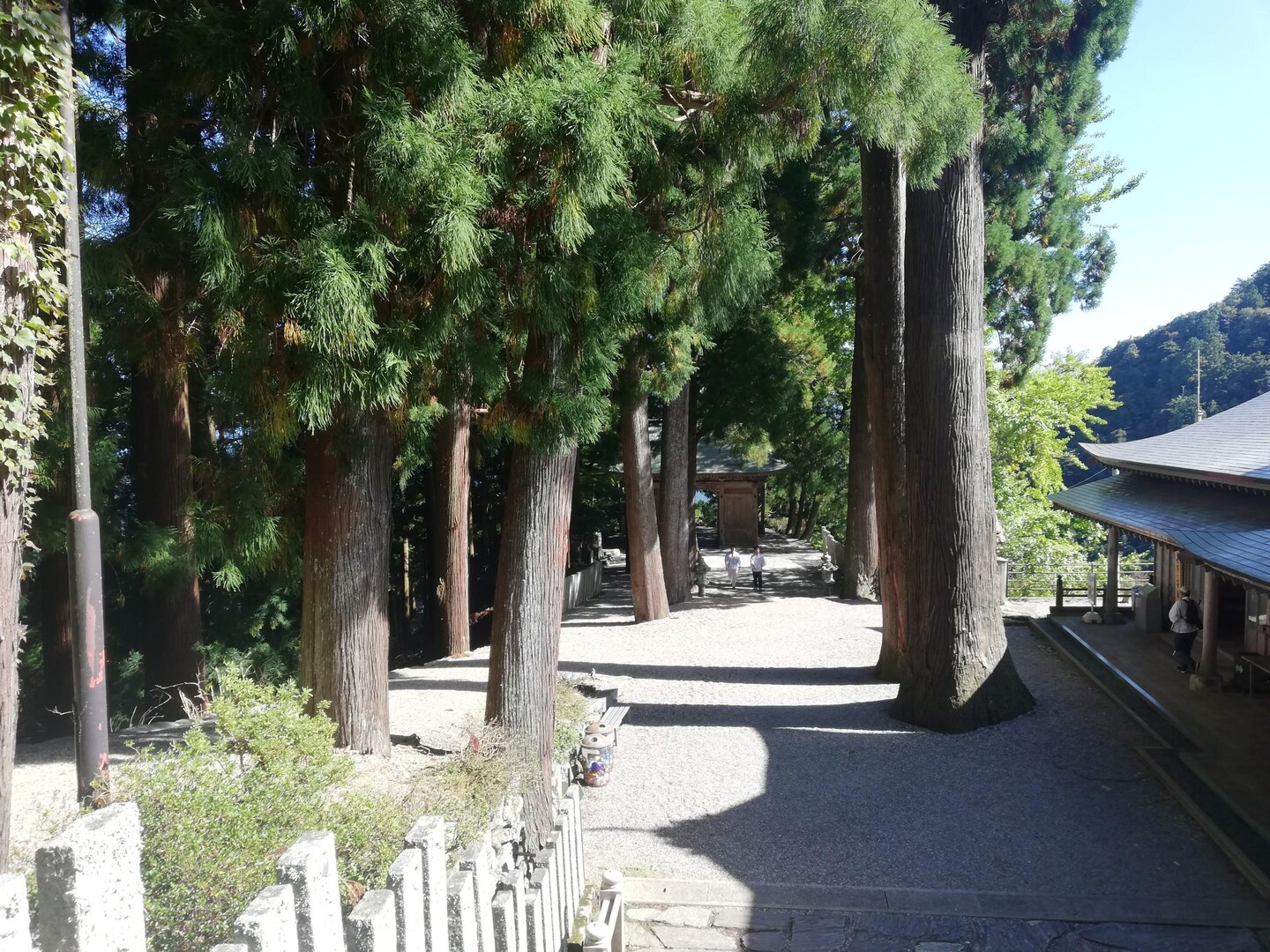 トリプル番外編☝️焼山寺山⛰️ / Mt. 3776さんの焼山寺山の活動データ | YAMAP / ヤマップ