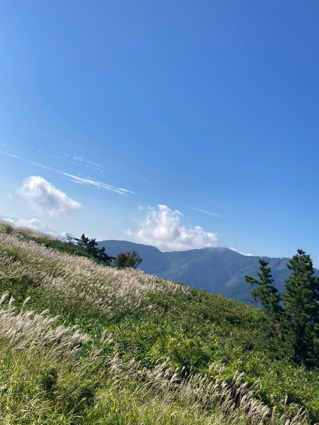 最高のリスタート⭐️大和葛城山（ソロ）😊 / a_ya_あやさんの金剛山・二上山・大和葛城山の活動データ | YAMAP / ヤマップ