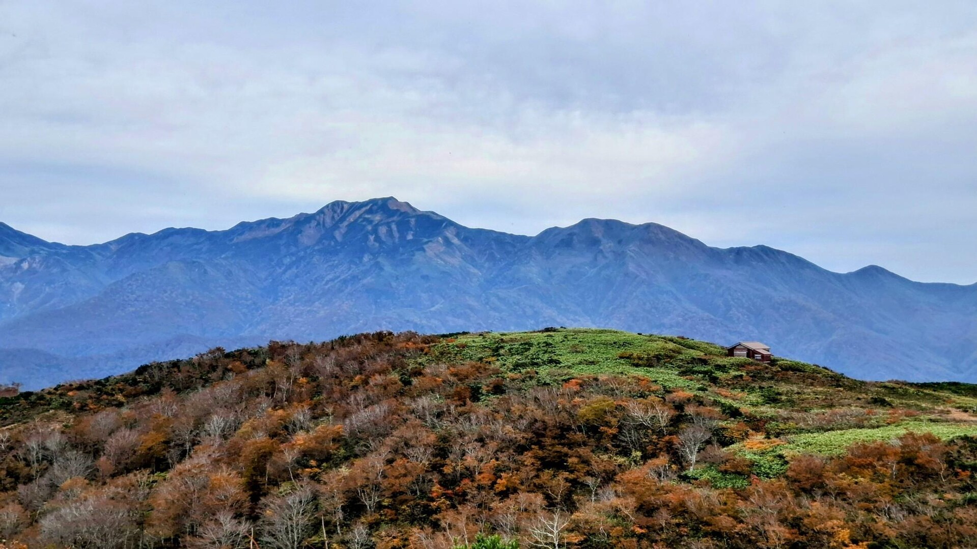 赤兎山・裏赤兎山 / tatuさんの赤兎山・猪鼻山の活動データ | YAMAP / ヤマップ