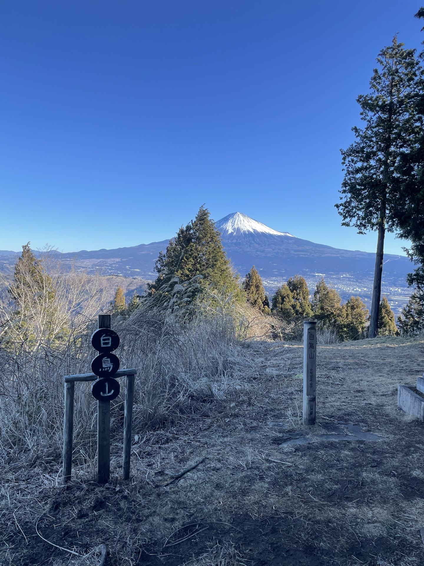 富士山を見に白鳥山へ / tomさんの白鳥山の活動データ | YAMAP / ヤマップ