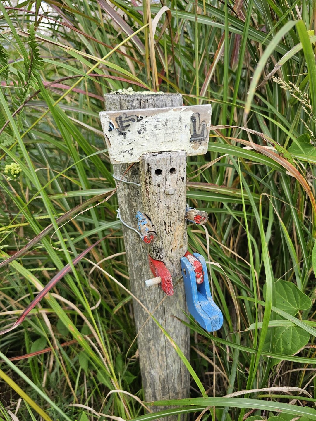 帯那山・奥帯那山 / naka-zさんの帯那山の活動データ | YAMAP / ヤマップ
