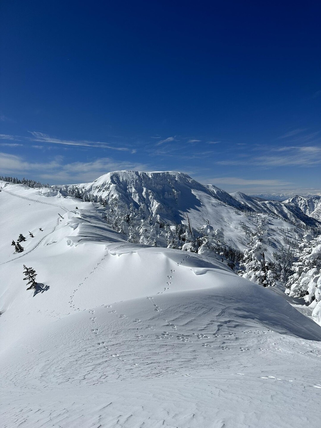 苗場山・赤倉山・佐武流山-2023-02-17 / PJさんの苗場山・赤倉山・佐武流山の活動データ | YAMAP / ヤマップ