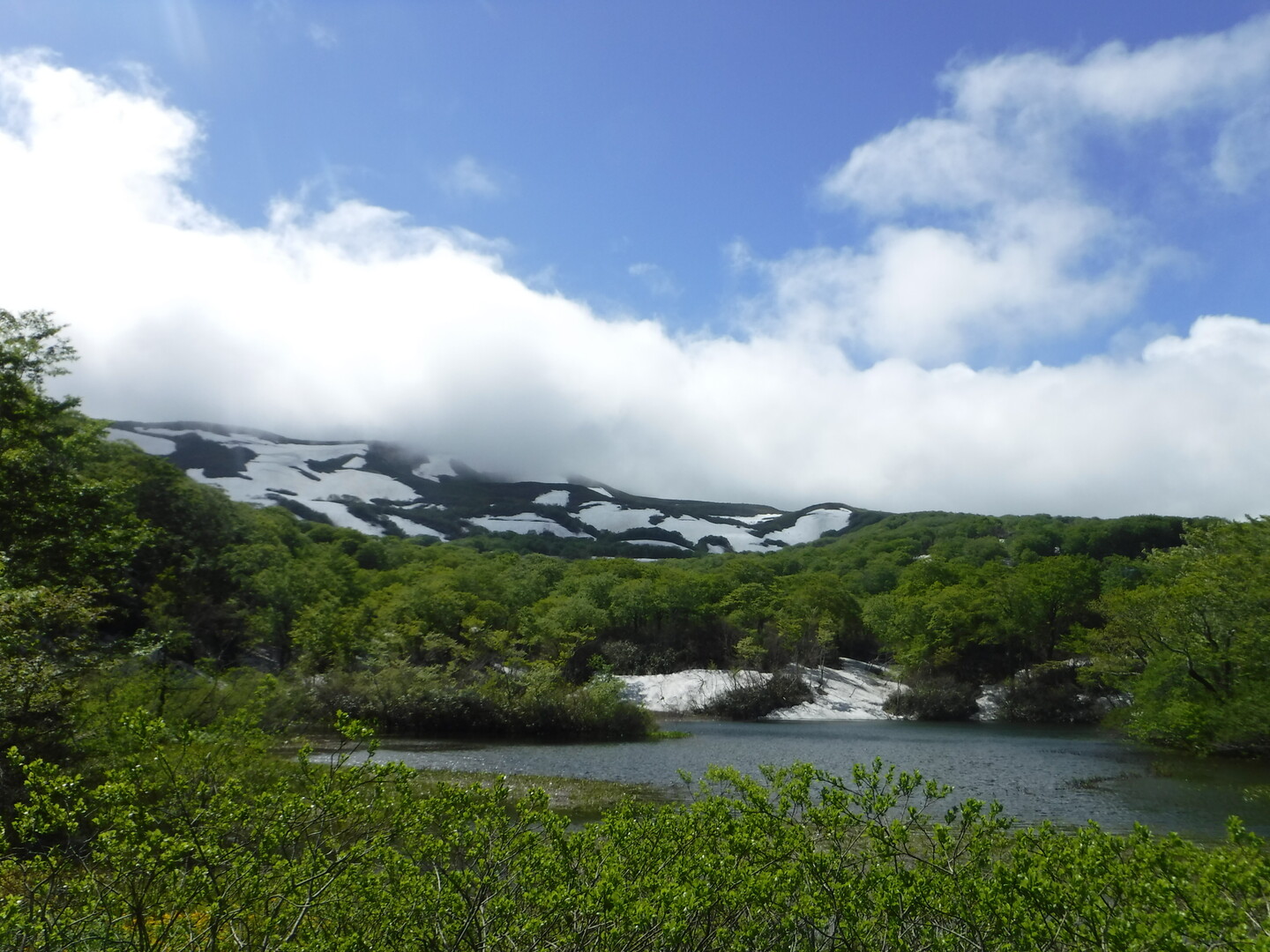 2022-0604 焼石岳・東焼石岳 / bakkyさんの焼石岳・兎森山・鷲ヶ森山の活動データ | YAMAP / ヤマップ