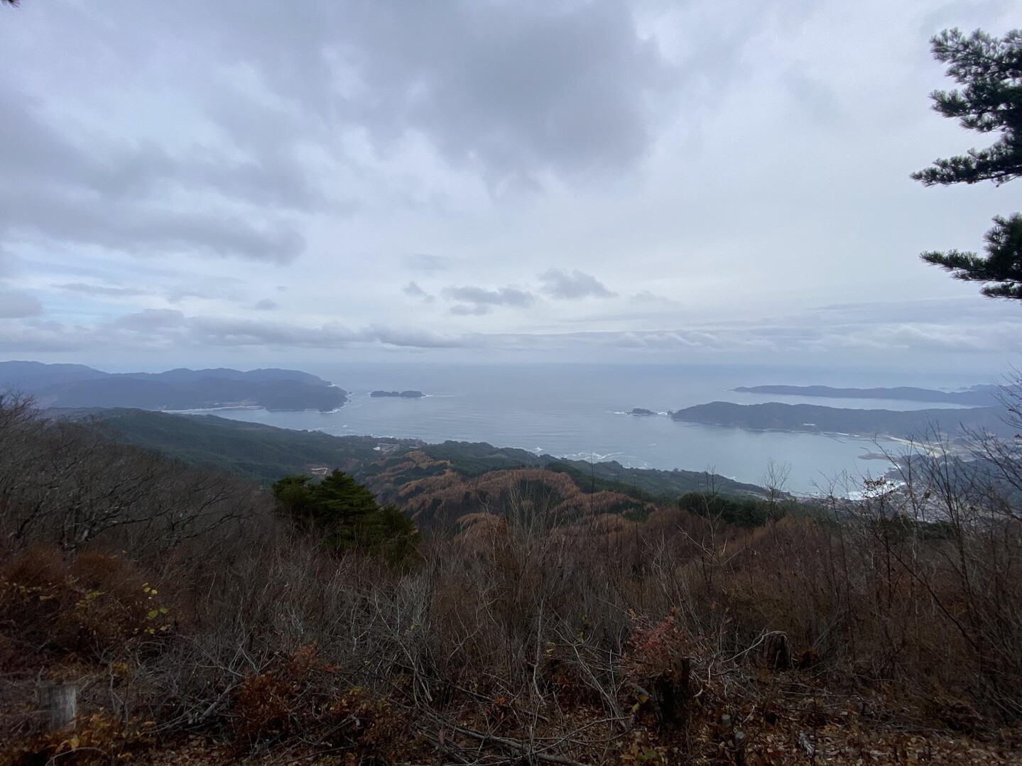 初！鯨山！ / TMZさんの鯨山の活動データ | YAMAP / ヤマップ