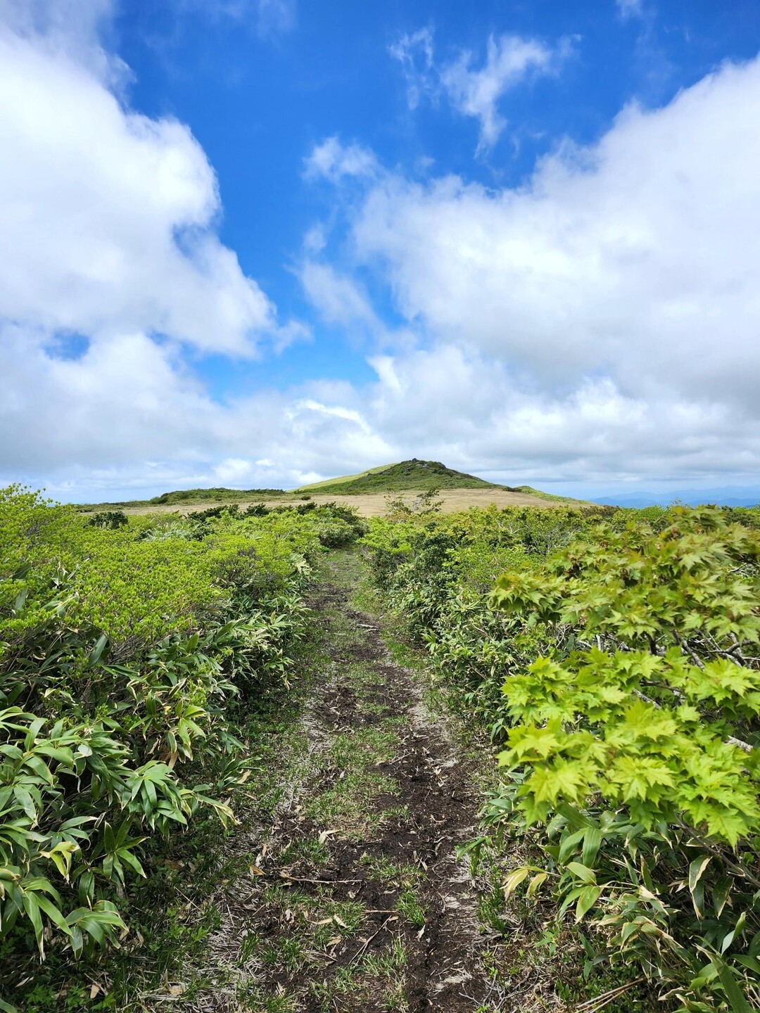 2024 2nd栗駒山秣岳 / みやびさんの栗駒山（須川岳）・秣岳・虚空蔵山の活動日記 | YAMAP / ヤマップ