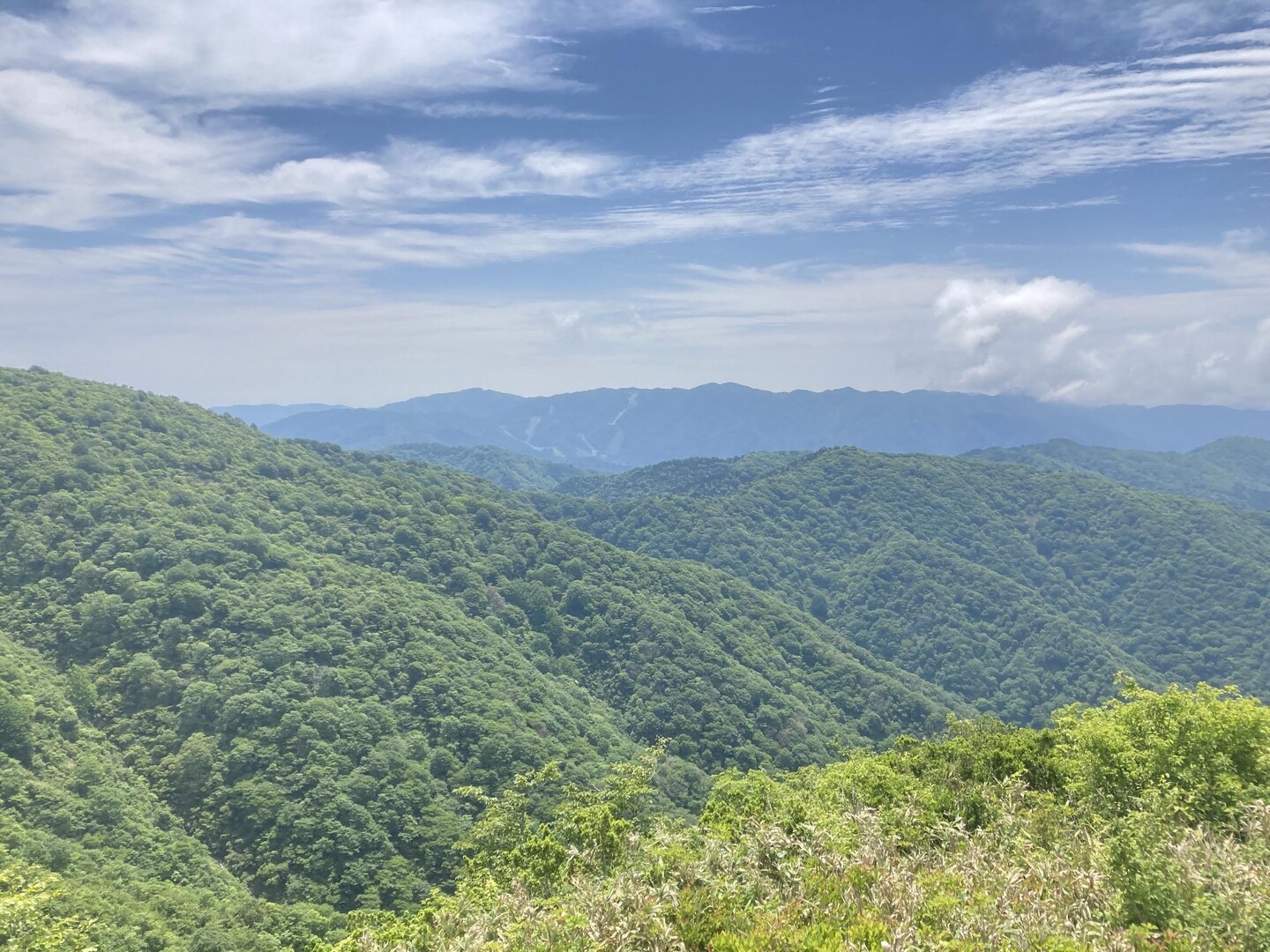 白倉岳・金糞岳 / you-ki ゆうきさんの金糞岳の活動データ | YAMAP / ヤマップ