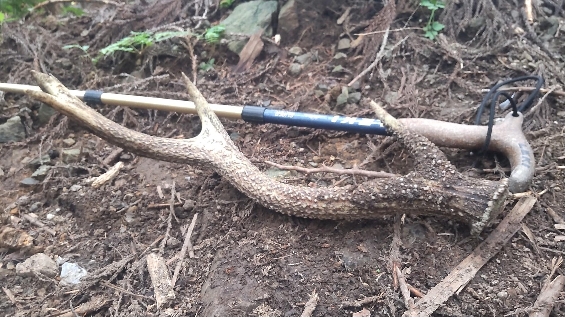 鎌取山・桜山 / B.Bearさんの御荷鉾山・オドケ山・桐ノ城山の活動データ | YAMAP / ヤマップ