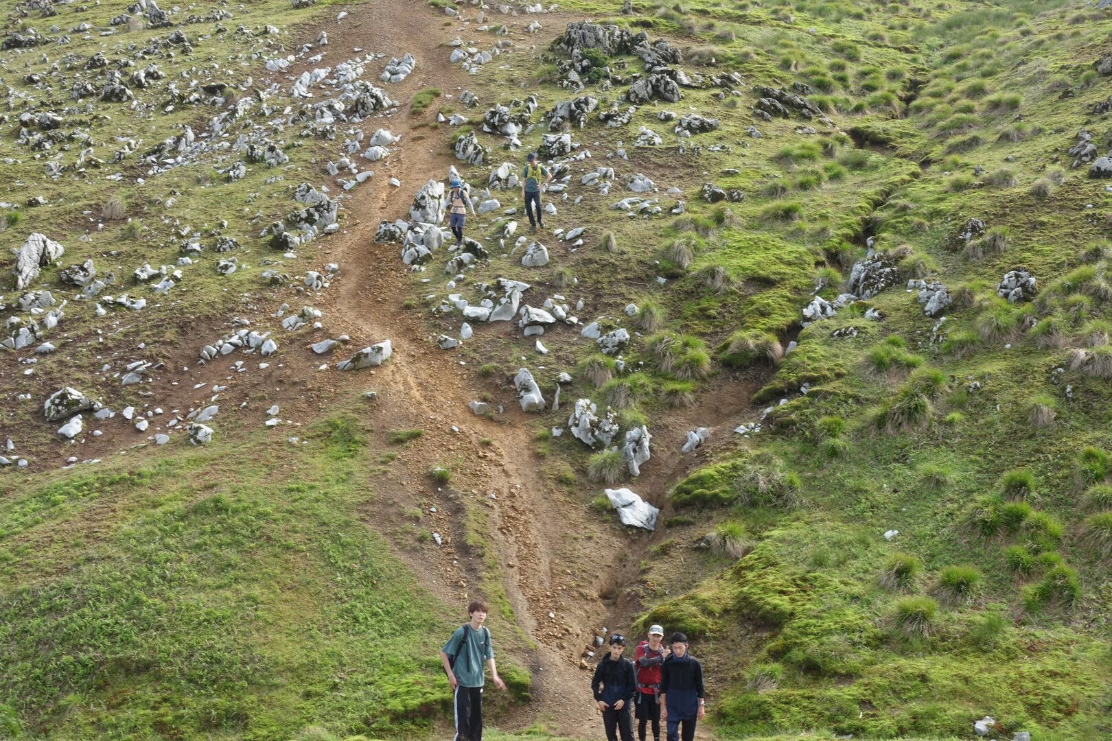 霊仙山 / jackalさんの霊仙山の活動データ | YAMAP / ヤマップ