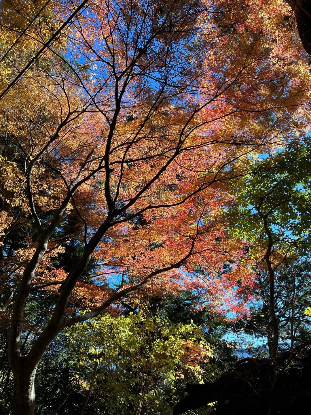 身延山、七面山 / ka-zさんの七面山・身延山の活動データ | YAMAP / ヤマップ