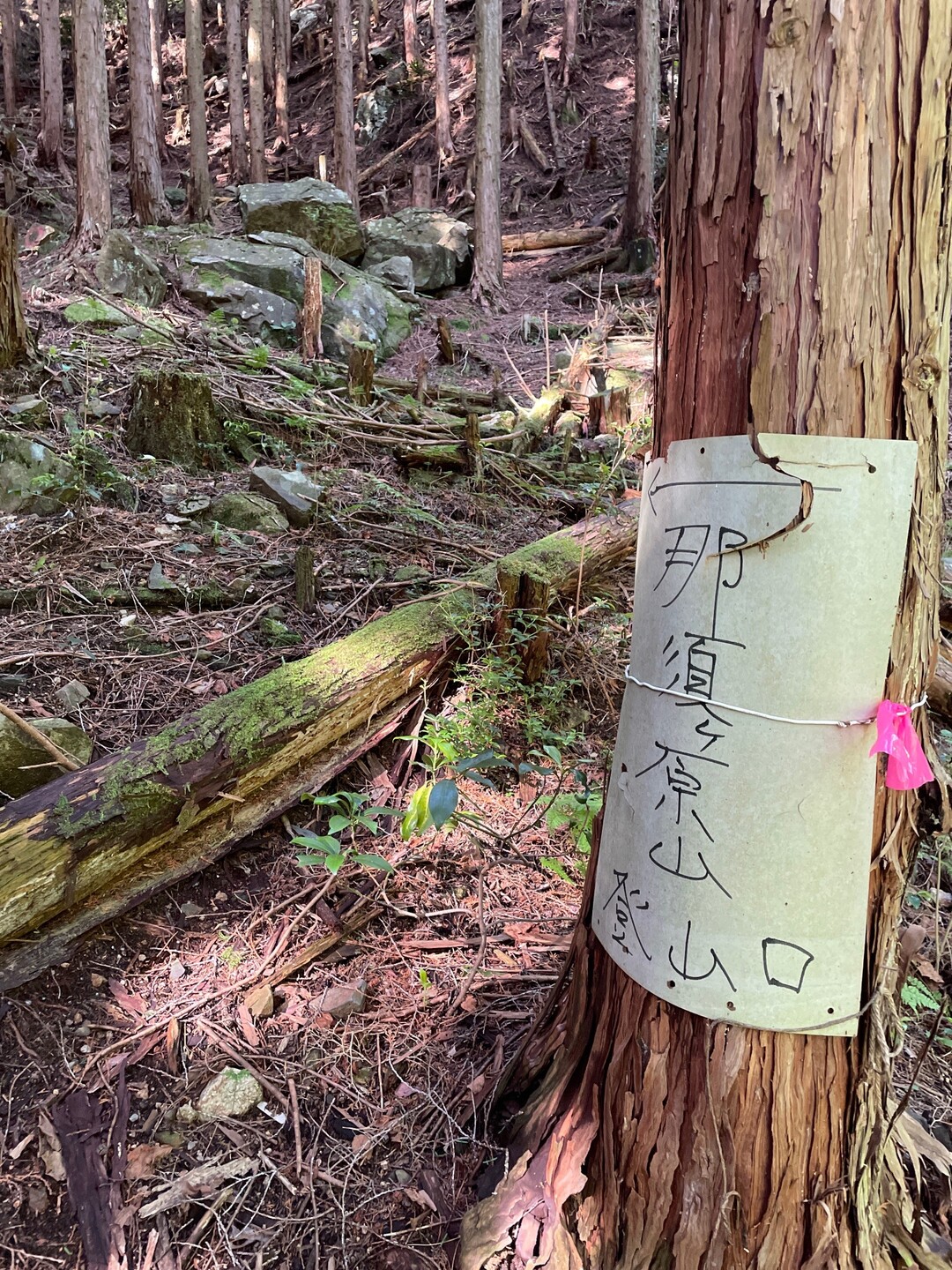 Marry🐾さんの投稿したフィールドメモ | YAMAP / ヤマップ