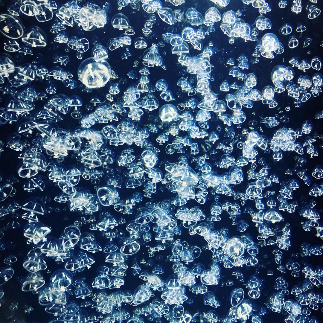 kmのページ | YAMAP / ヤマップ