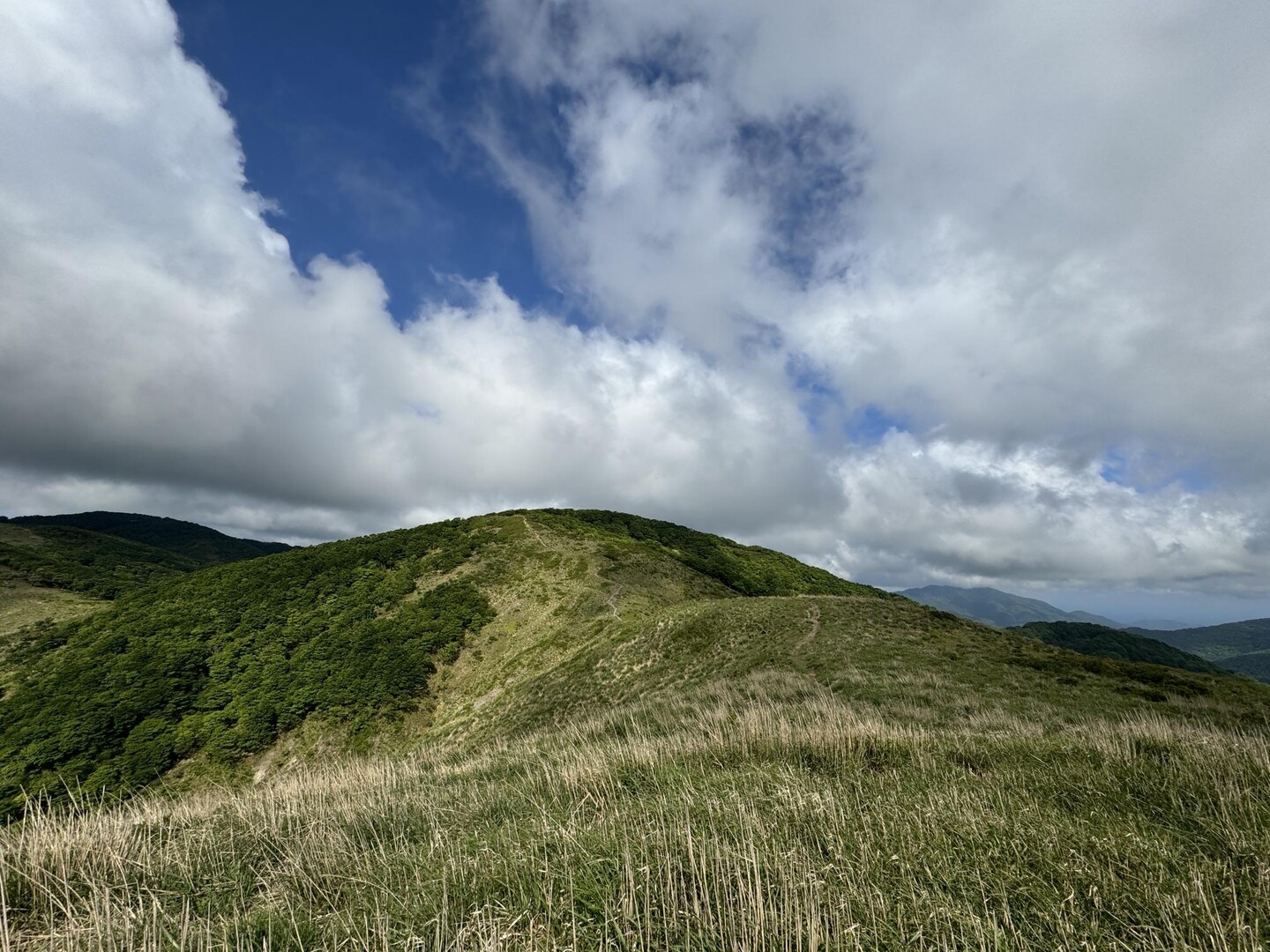 高島トレイルはじめました 2【マキノ〜水坂峠】 / NAOZOさんの高島トレイル その1の活動日記 | YAMAP / ヤマップ