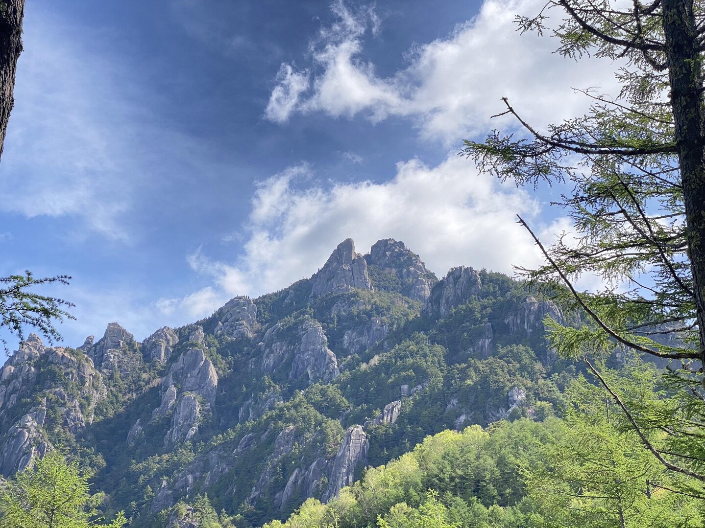 瑞牆山 / T Kinoさんの瑞牆山・金峰山の活動データ | YAMAP / ヤマップ