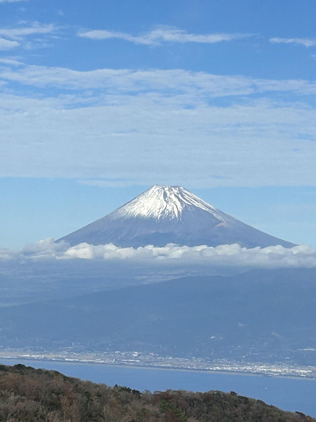 伊豆1日目:金冠山・小達磨山・達磨山 / ANEさんの金冠山・達磨山・葛城山の活動データ | YAMAP / ヤマップ