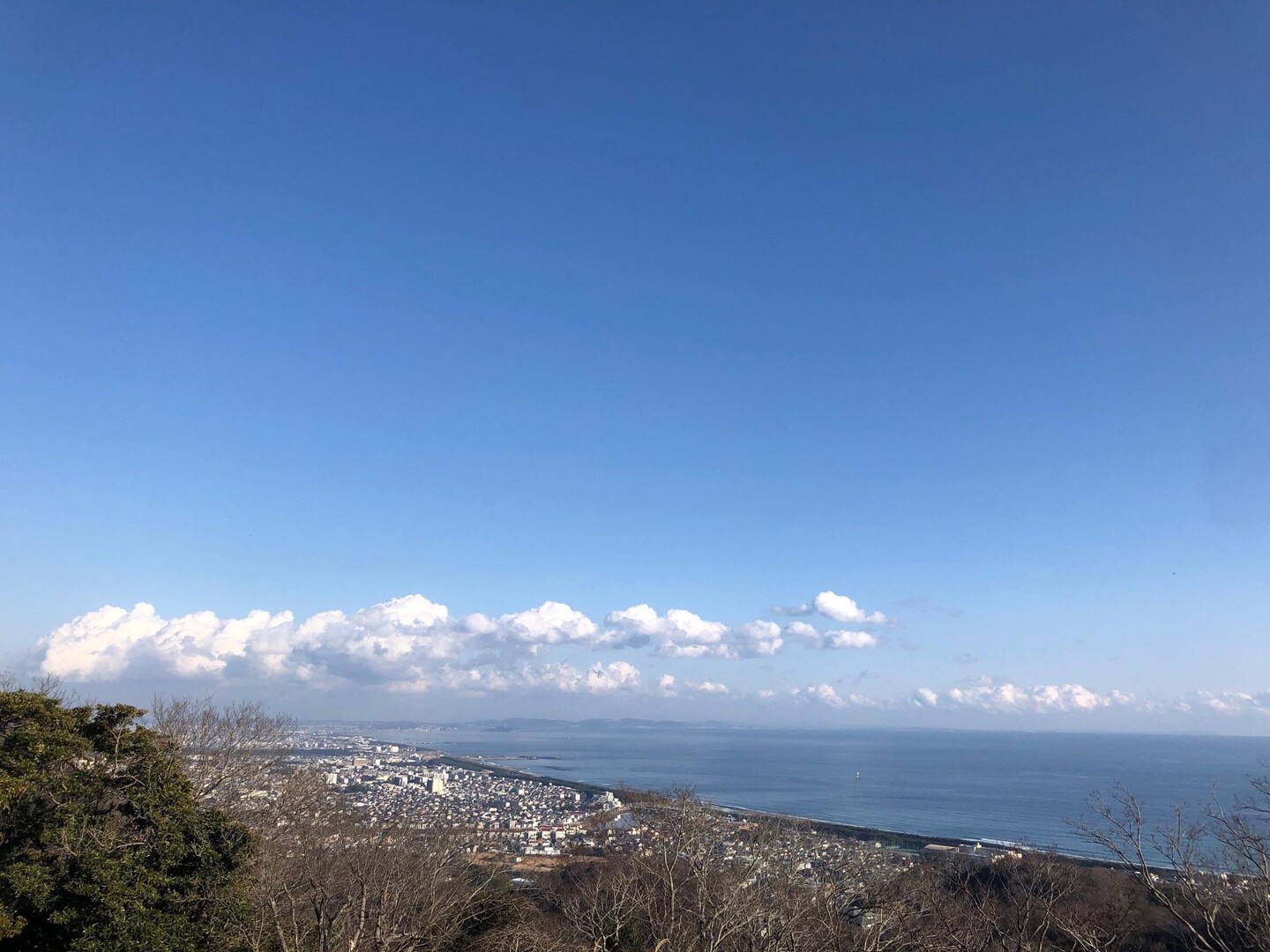 湘南平 / taka14さんの高麗山・湘南平・鷹取山の活動データ | YAMAP / ヤマップ