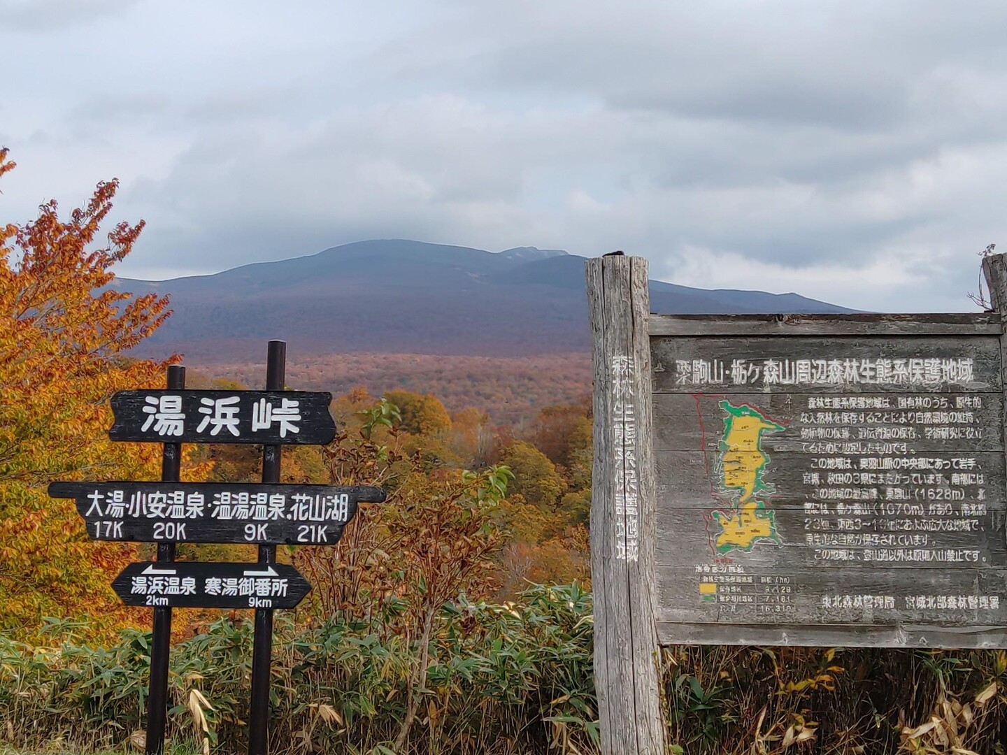 宮城‐秋田県境 湯浜峠より栗駒山 / クマガイさんのモーメント | YAMAP / ヤマップ