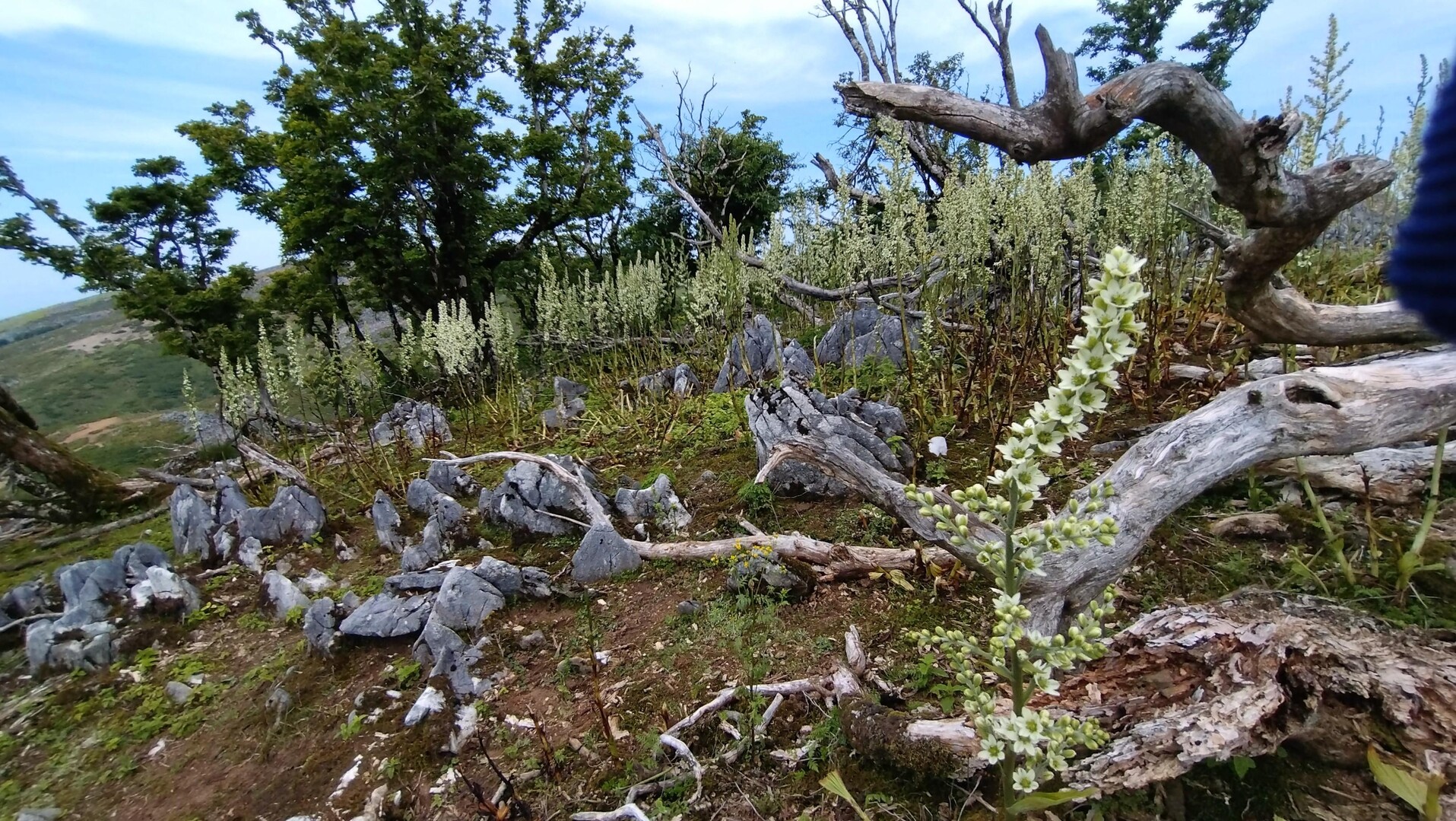 bambooさんの投稿したフィールドメモ | YAMAP / ヤマップ