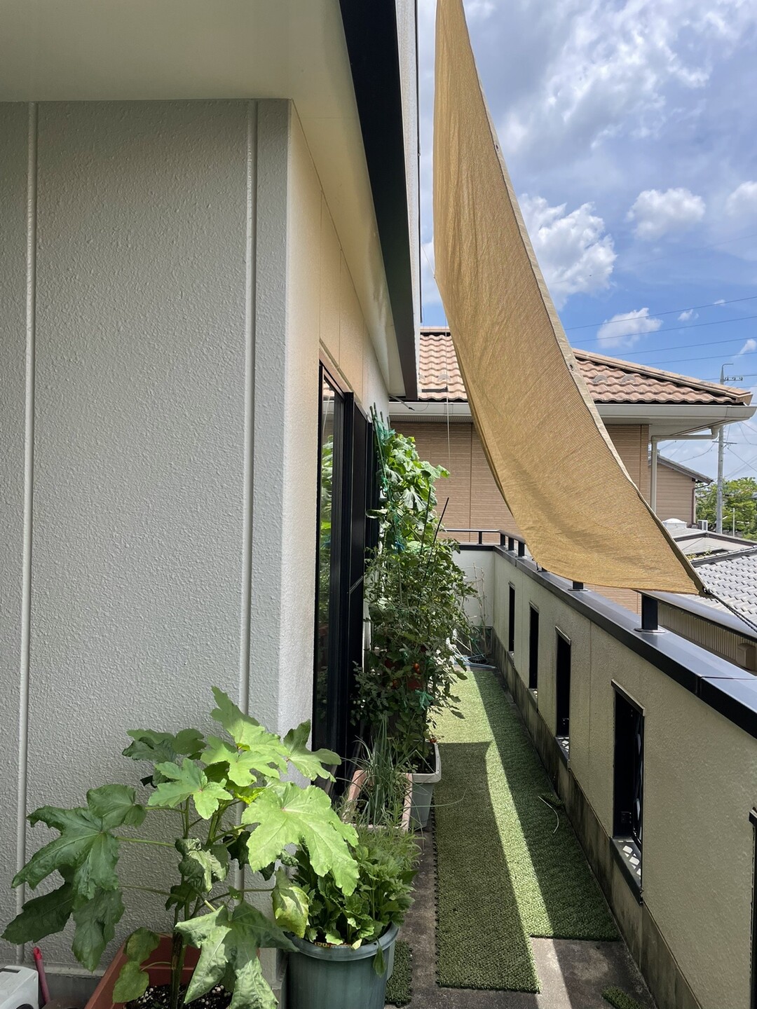 日除け。 梅雨明けから、強い日差しを遮る... / osamさんのモーメント | YAMAP / ヤマップ