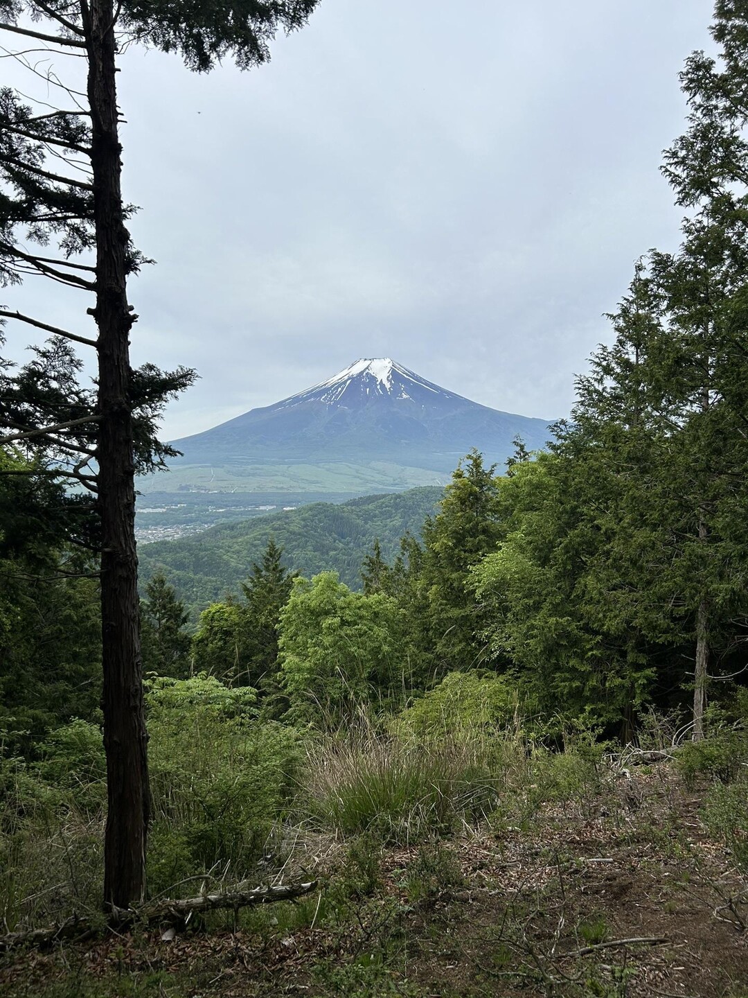 杓子山・子ノ神・鹿留山 / uda19さんのFUJISAN LONG TRAIL（忍野・山中湖エリア EAST）の活動データ | YAMAP / ヤマップ