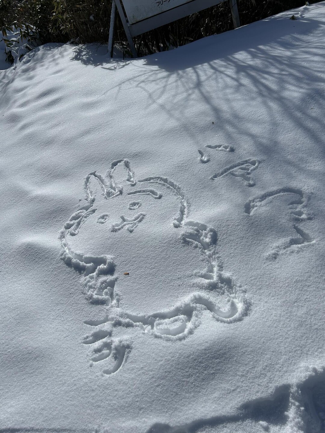 #136 オヤジ雪デ遊ブ / しげおやじさんの蛇峠山の活動データ | YAMAP / ヤマップ