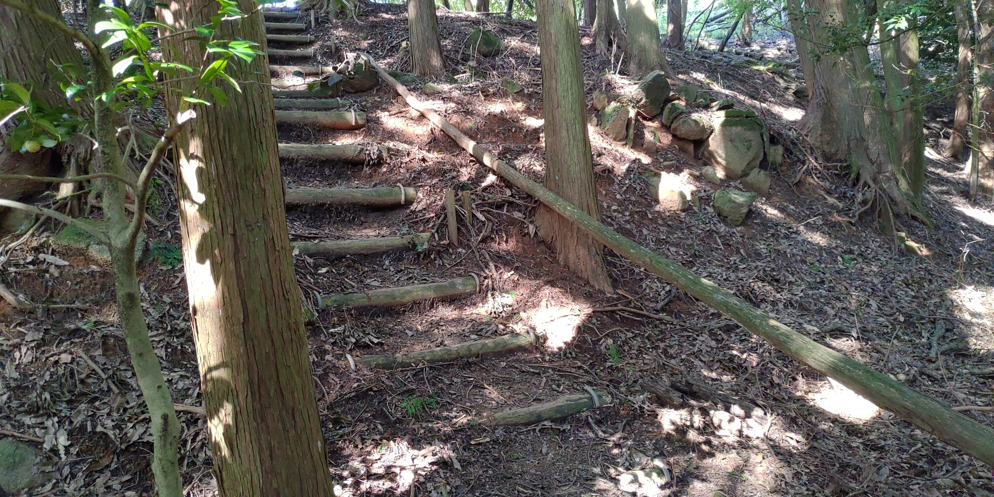 ぷいさんの投稿したフィールドメモ | YAMAP / ヤマップ