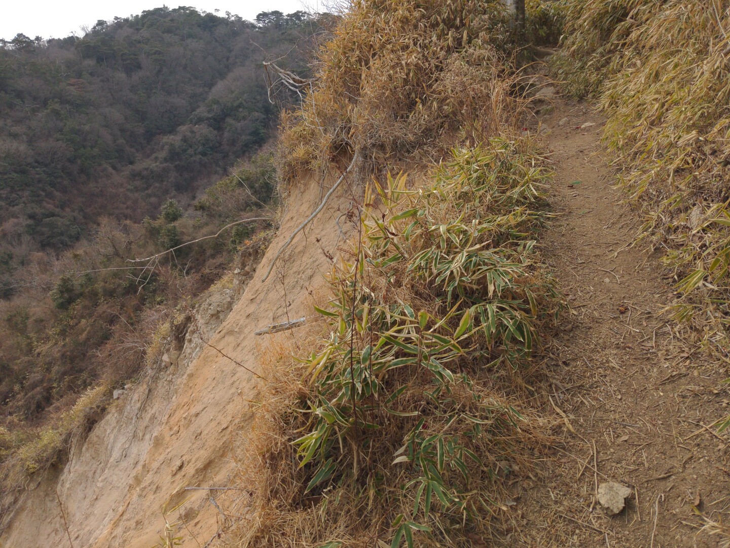TAZさんの投稿したフィールドメモ | YAMAP / ヤマップ