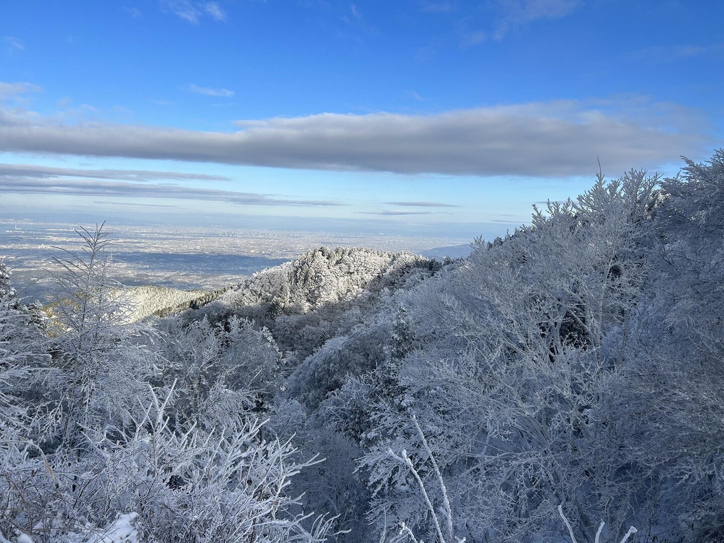金剛山 / Keiさんの金剛山・二上山・大和葛城山の活動データ | YAMAP / ヤマップ