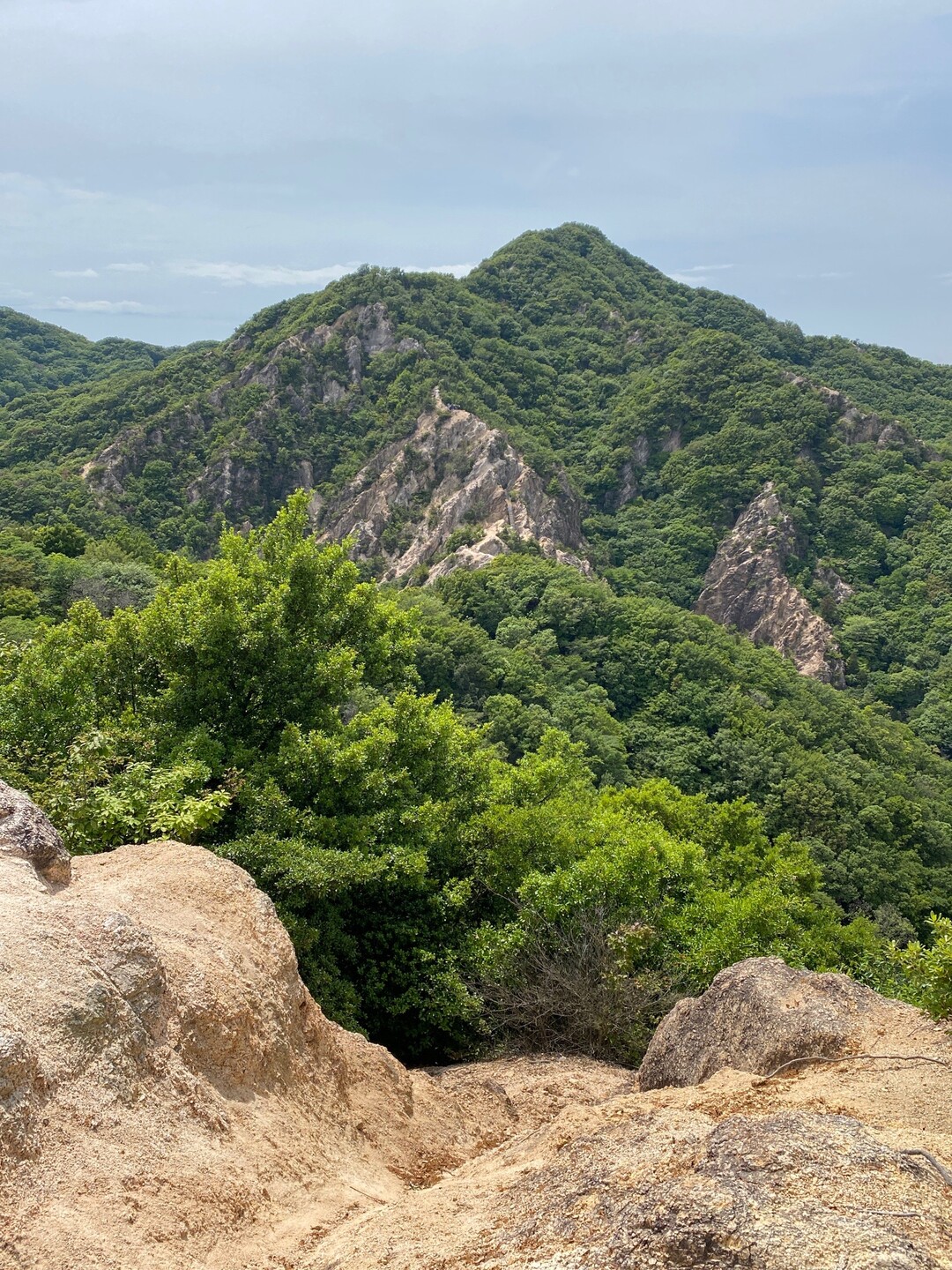 須磨アルプス / jiro manさんの神戸市の活動データ | YAMAP / ヤマップ