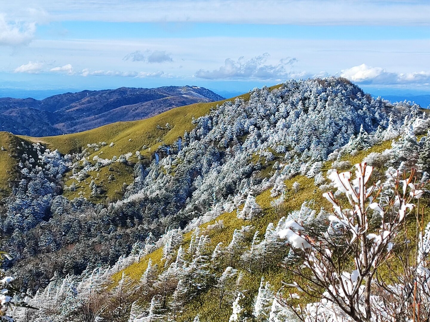横岳・大川入山 / MJさんの大川入山・横岳の活動データ | YAMAP / ヤマップ