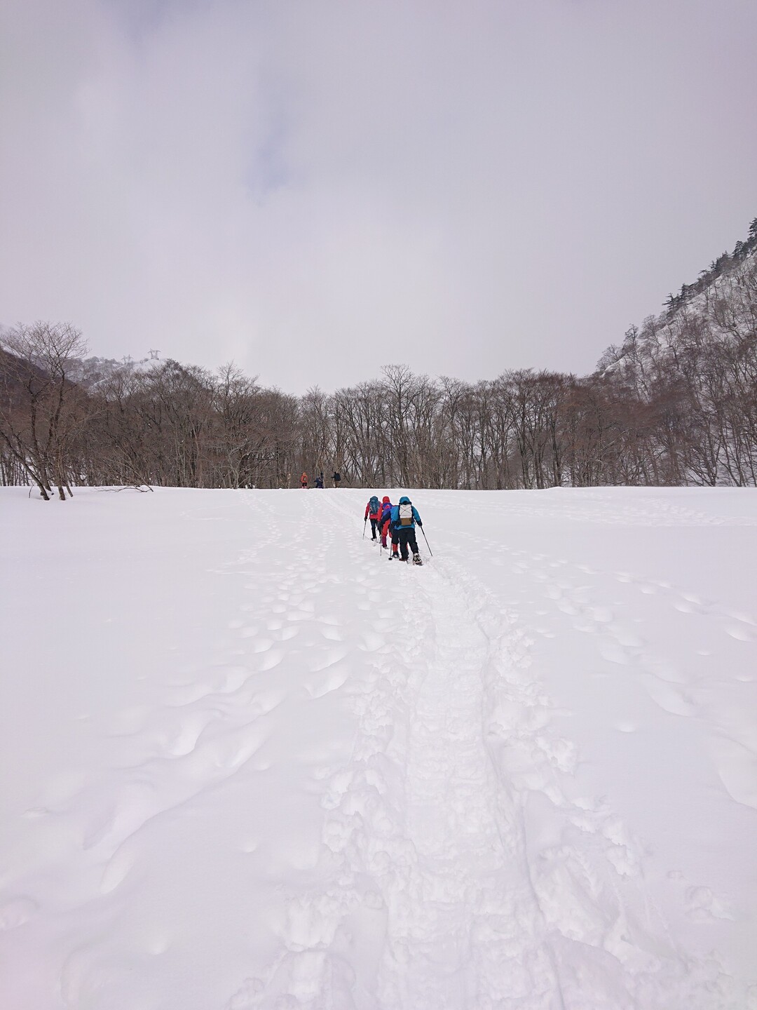 一ノ倉沢-2022-02-20 / ウツギ53さんの谷川岳・七ツ小屋山・大源太山の活動データ | YAMAP / ヤマップ