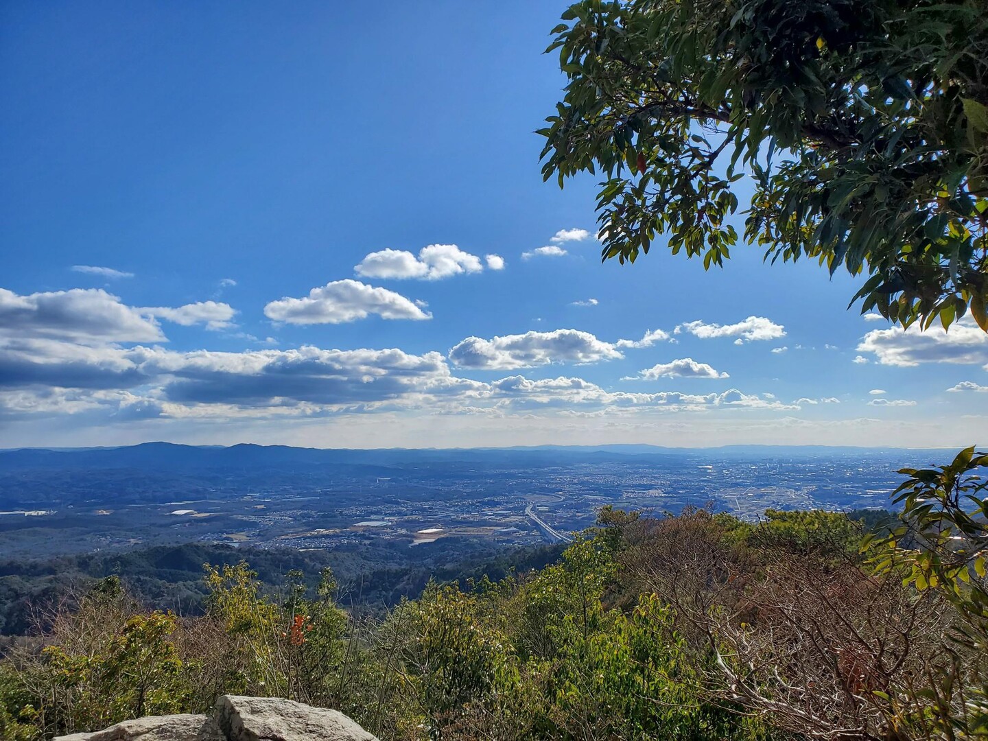 城ヶ峰・猿投山 / taku.tacoさんの猿投山・物見山の活動データ | YAMAP / ヤマップ