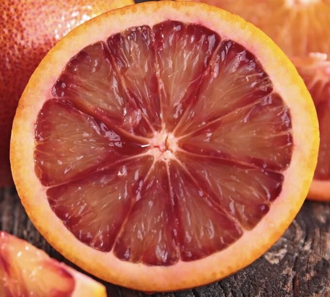 🍹ﾌﾞﾗｯﾄﾞｵﾚﾝｼﾞ🍹𝓑𝓵𝓸𝓸𝓭 𝓞𝓻𝓪𝓷𝓰𝓮 のページ | YAMAP / ヤマップ